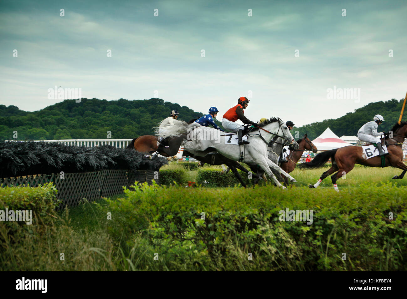 USA, Tennessee, Nashville, Iroquois Steeplechase, horses and their ...