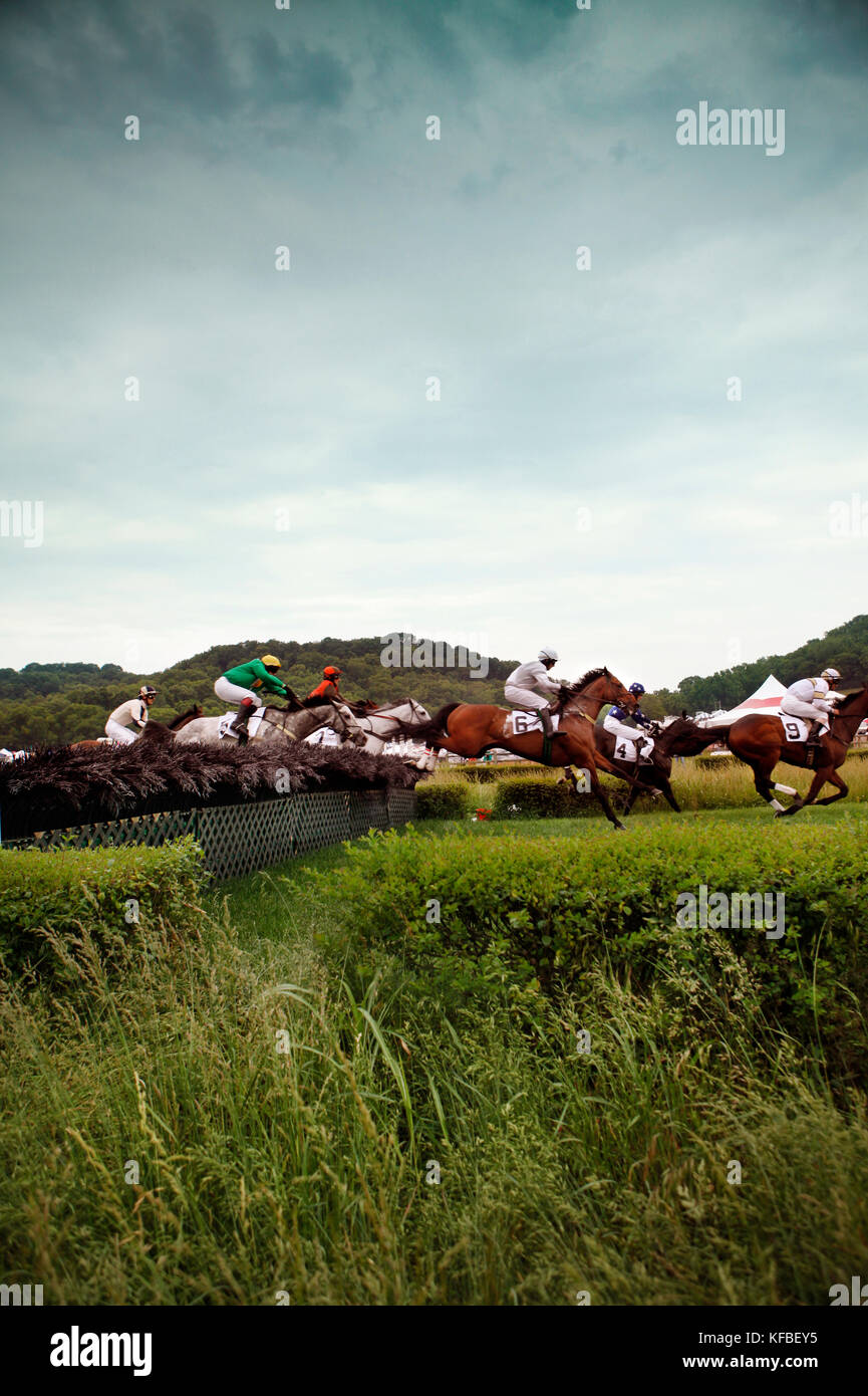 USA, Tennessee, Nashville, Iroquois Steeplechase, horses and their ...