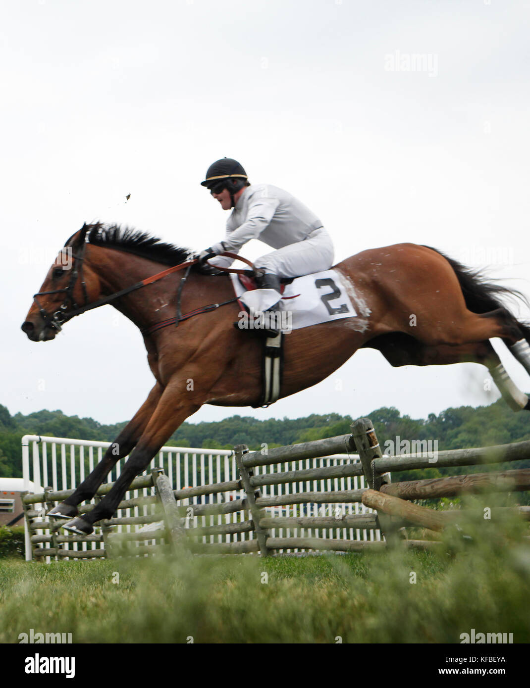 USA, Tennessee, Nashville, Iroquois Steeplechase, jockeys and their ...
