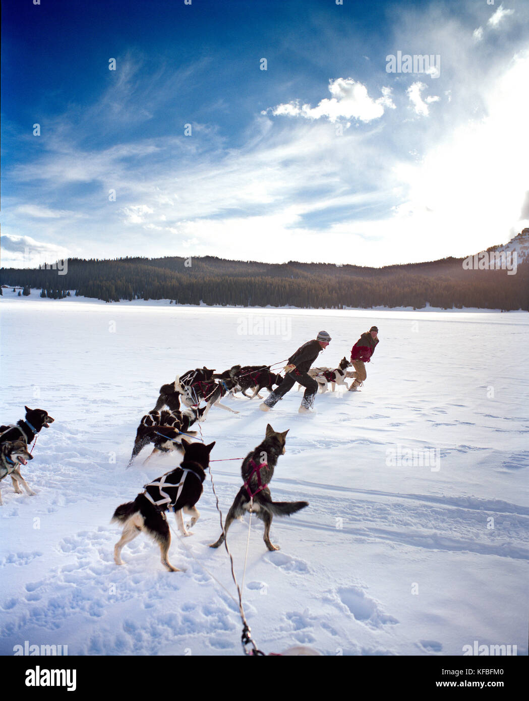 USA, Wyoming, Jackson Hole, a snow covered ranch on a cold winter day ...