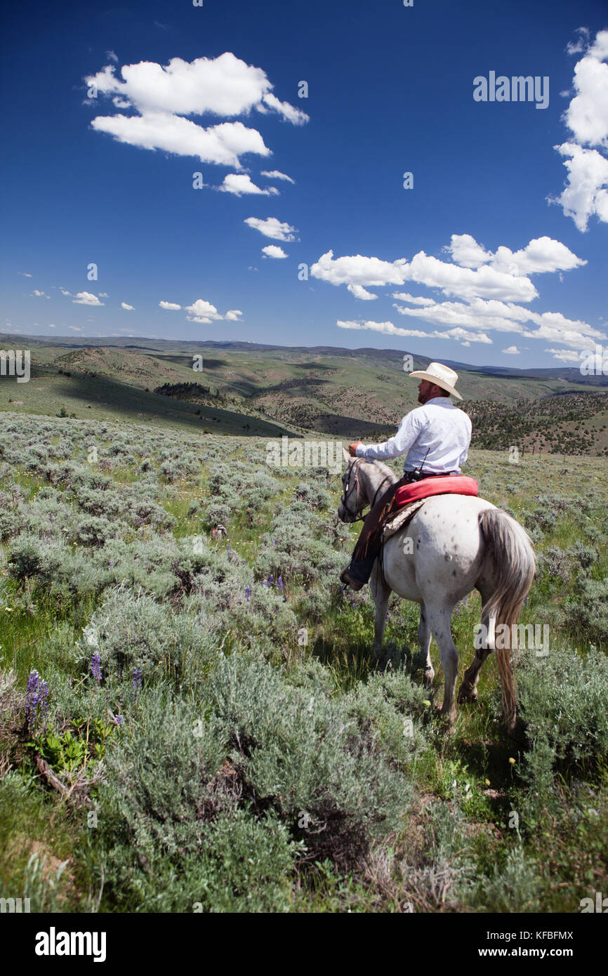 USA, Wyoming, Encampment, a cowboy rides his horse through the sage ...