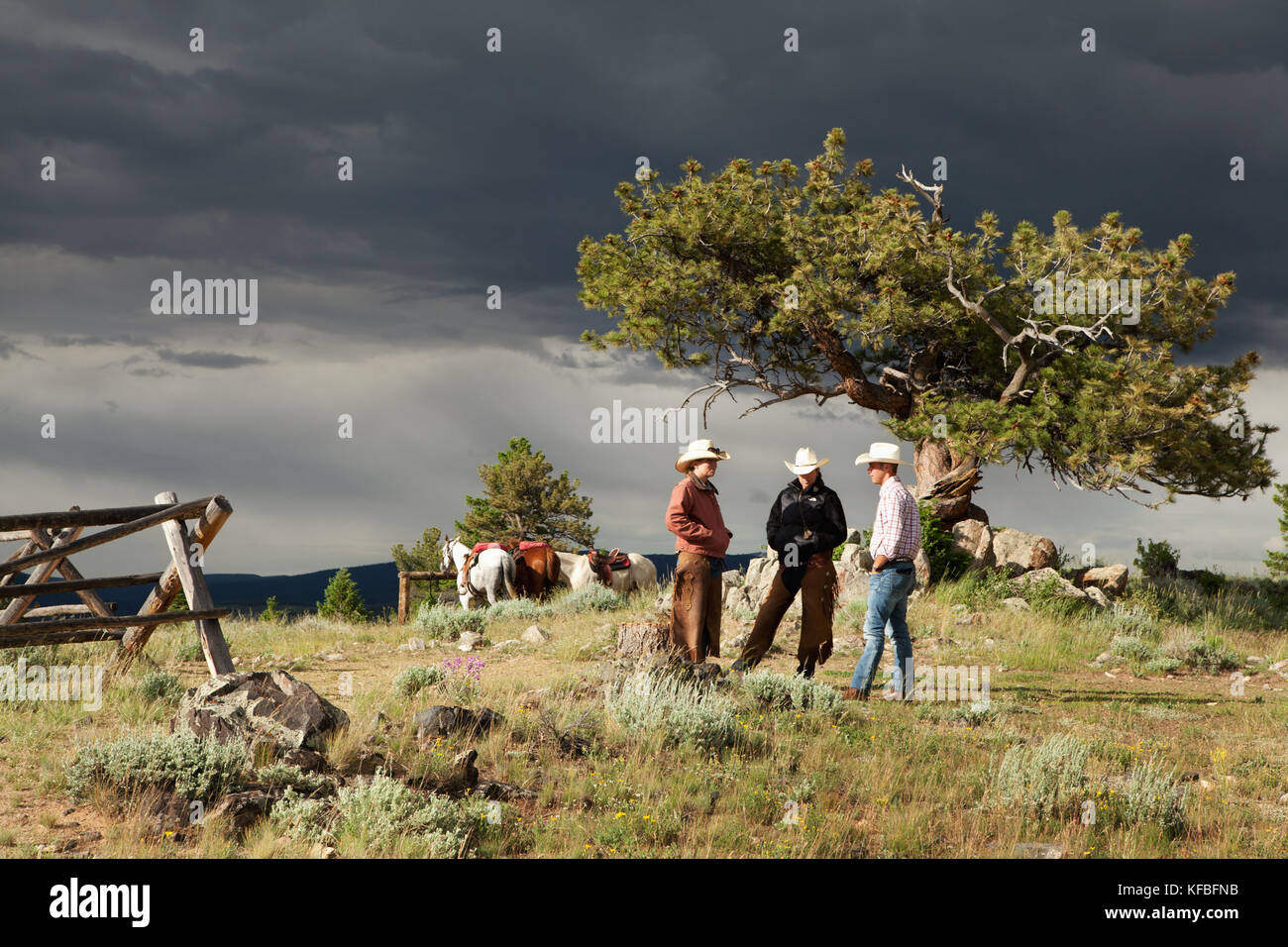 USA, Wyoming, Encampment, wrangelrs on a mountain top wait for trail ...