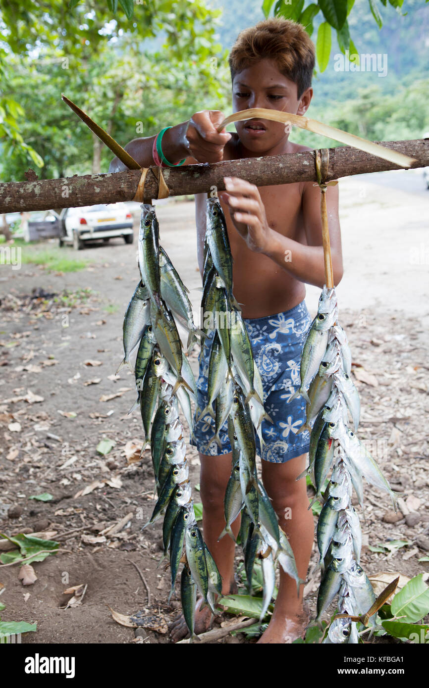 FRENCH POLYNESIA, Moorea. A young boy with his catch which he will ...