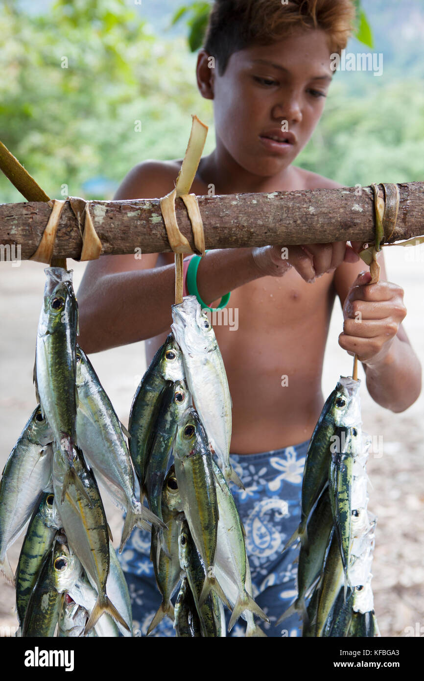 FRENCH POLYNESIA, Moorea. A young boy with his catch which he will ...