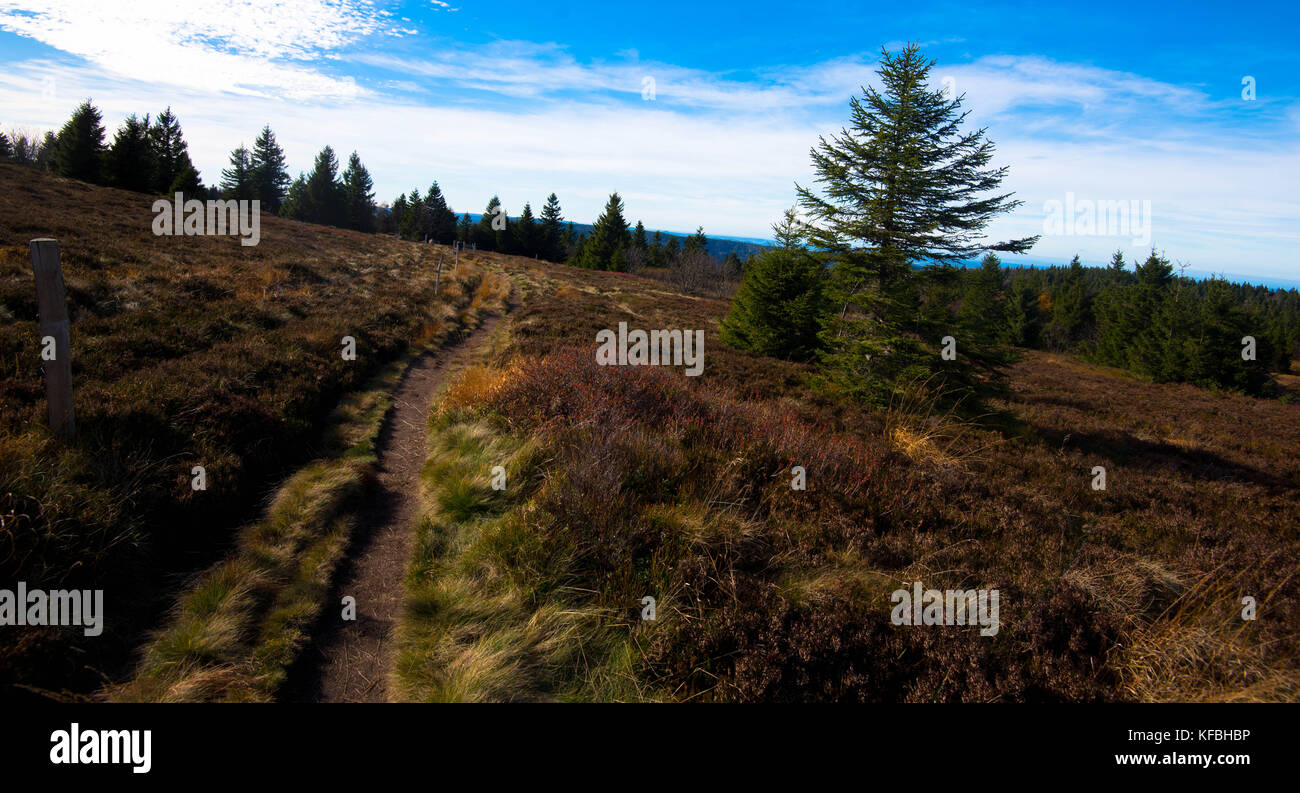 The beautiful area of the Gazon du Faing in the Vosges mountains in ...