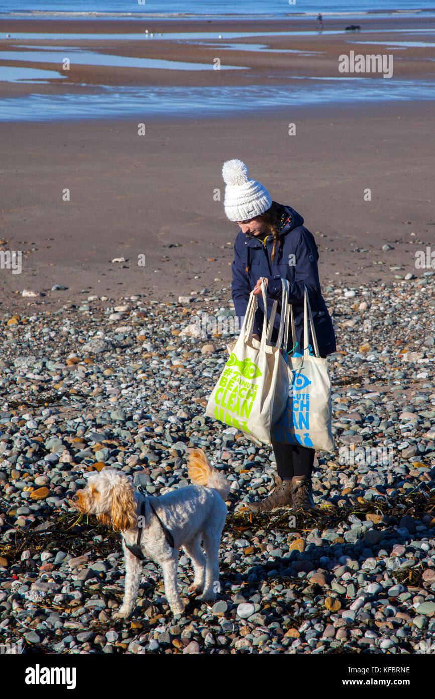 Volunteer litter pickers on the beach hi-res stock photography and ...