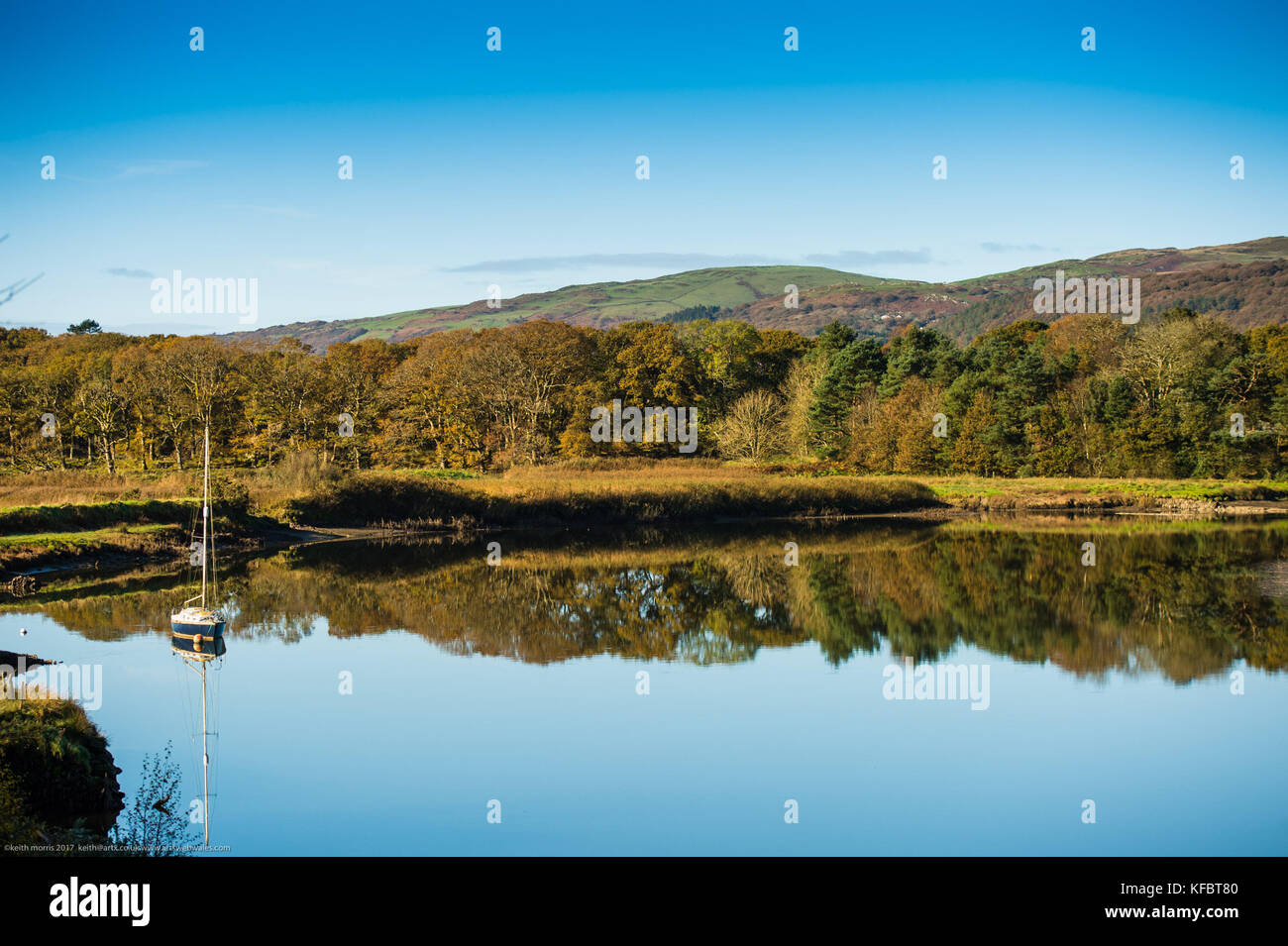 Dyfi forest wales hi-res stock photography and images - Alamy
