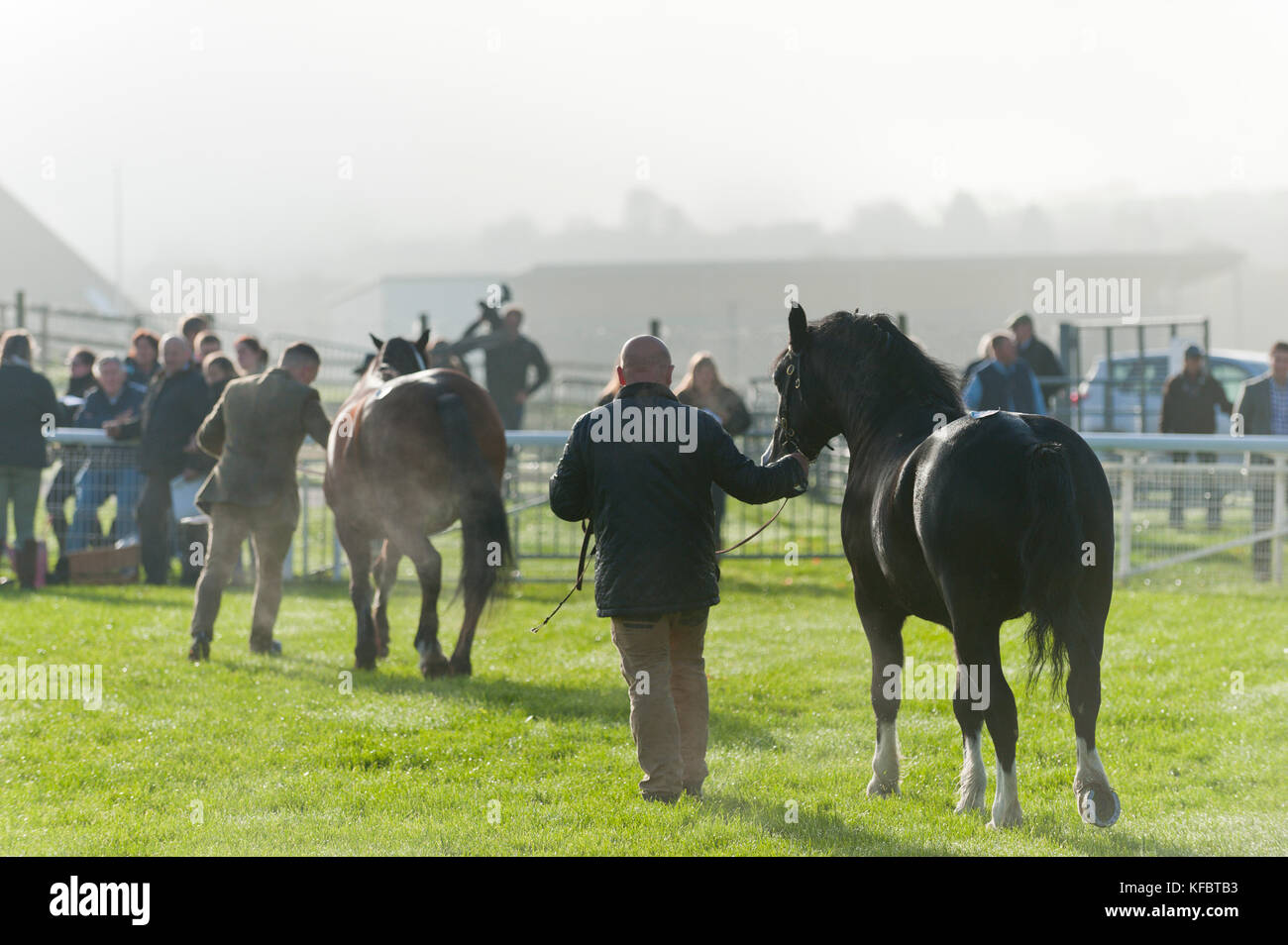 Builth Wells, Powys, Wales, UK. 27th October, 2017. A Cob show takes ...