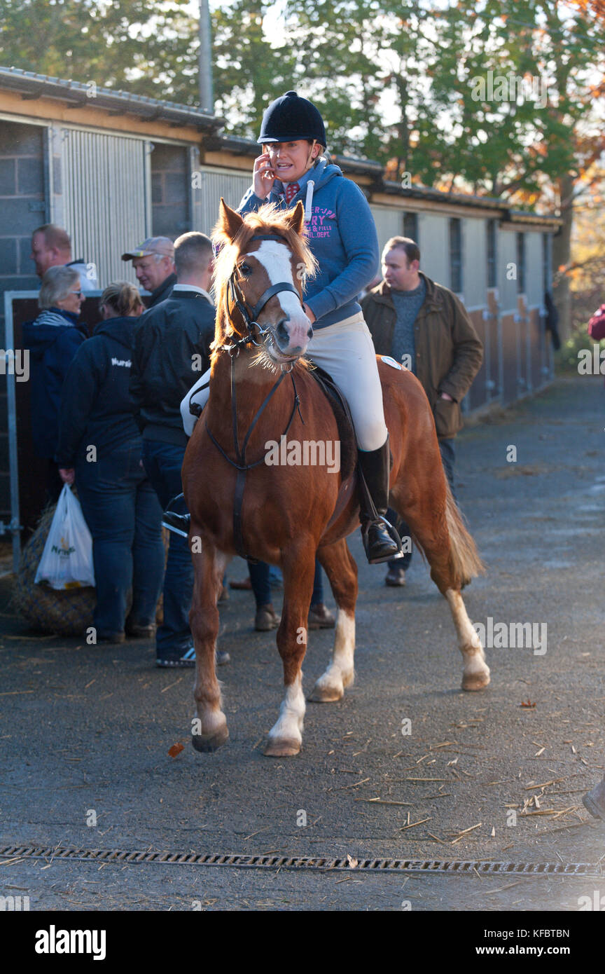 Builth Wells, Powys, Wales, UK. 27th October, 2017. Cobs are exercised ...