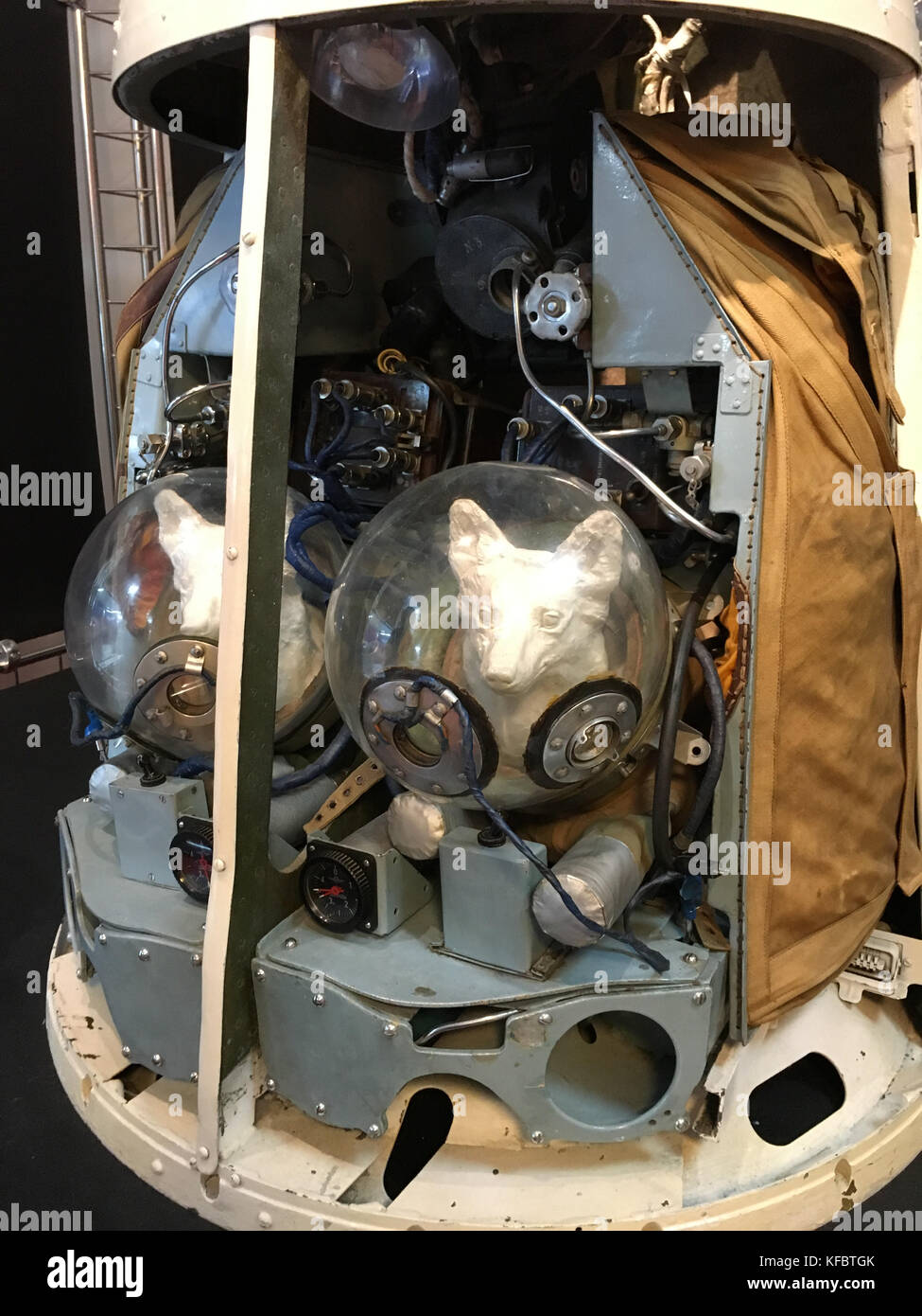 Laika space dog hi-res stock photography and images - Alamy
