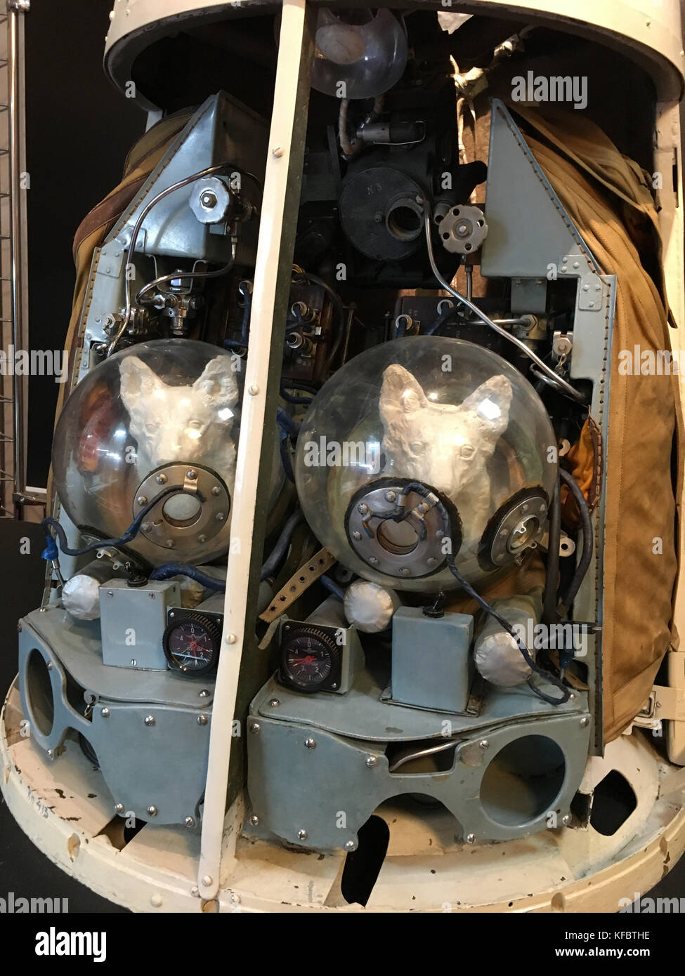 Laika space dog hi-res stock photography and images - Alamy