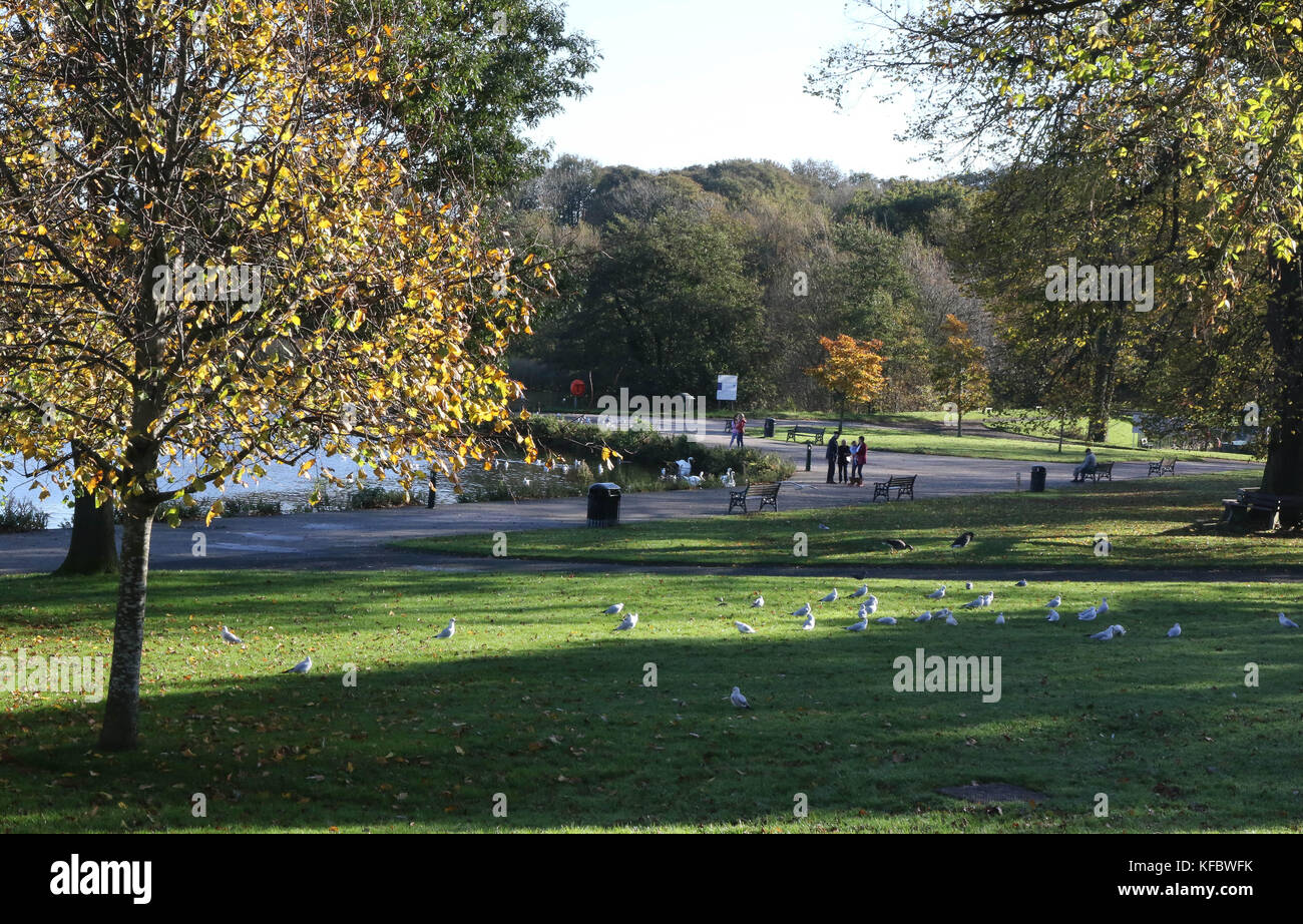 Lurgan, Northern Ireland, UK. 27th October, 2017. A cool start was ...