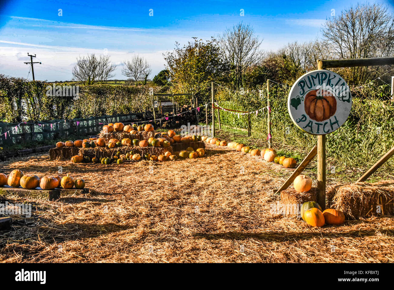 Whitland hi-res stock photography and images - Alamy