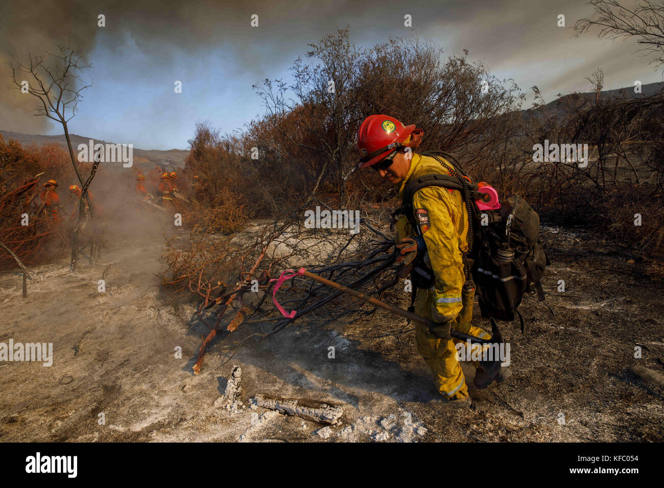 Forest fire tree line hi-res stock photography and images - Alamy