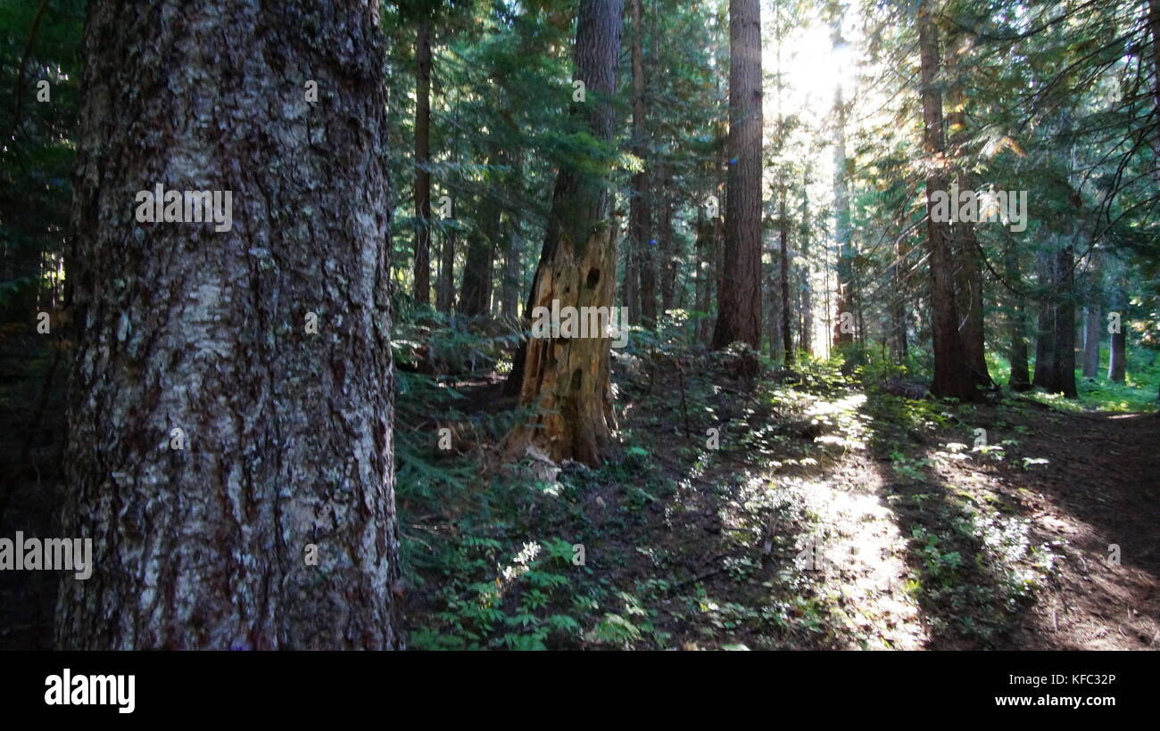 Exploring Washington State, The Great Pacific Northwest Stock Photo - Alamy