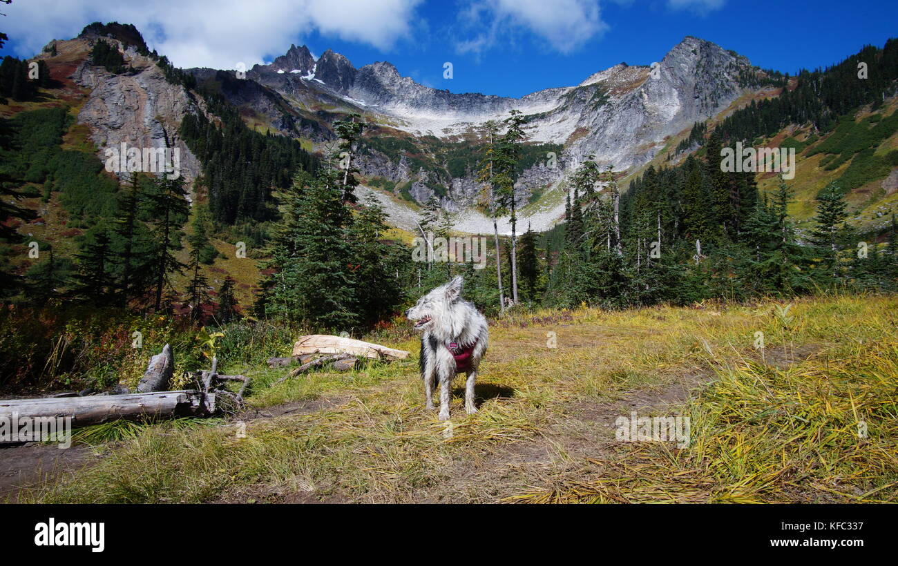 Exploring Washington State, The Great Pacific Northwest Stock Photo - Alamy