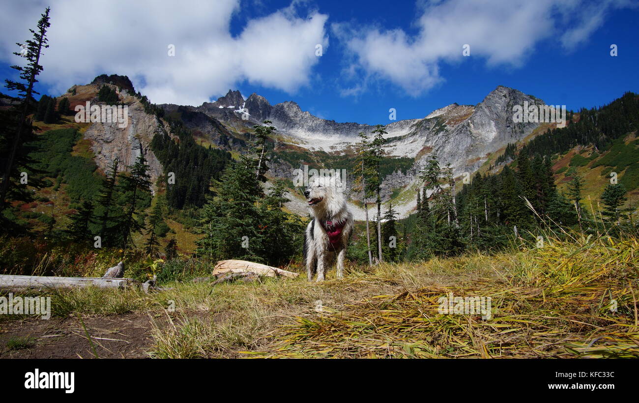 Exploring Washington State, The Great Pacific Northwest Stock Photo - Alamy