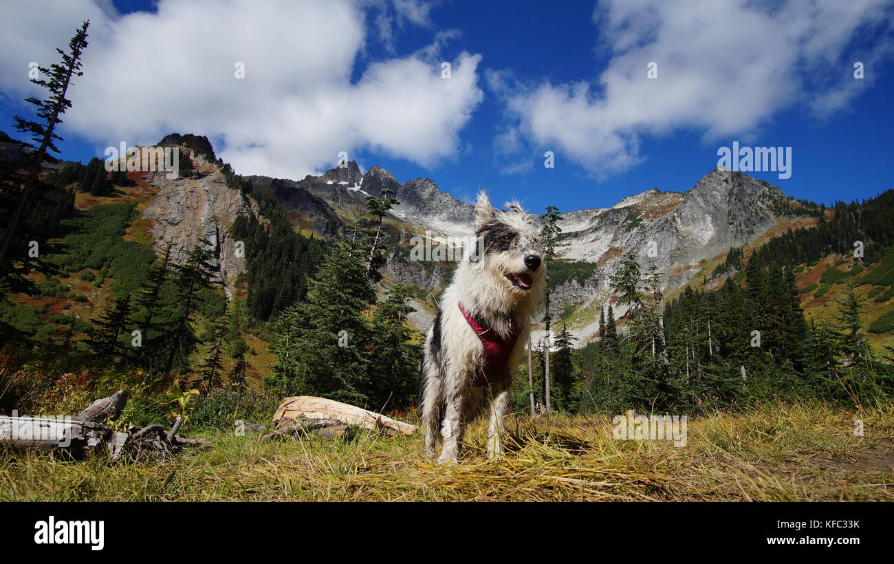 Exploring Washington State, The Great Pacific Northwest Stock Photo - Alamy