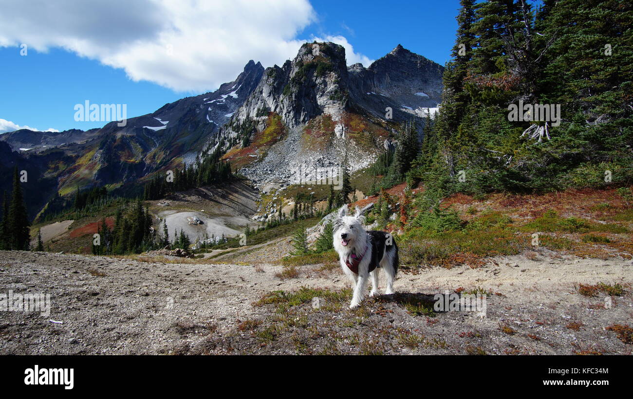 Exploring Washington State, The Great Pacific Northwest Stock Photo - Alamy