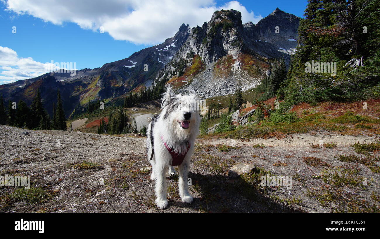 Exploring Washington State, The Great Pacific Northwest Stock Photo - Alamy