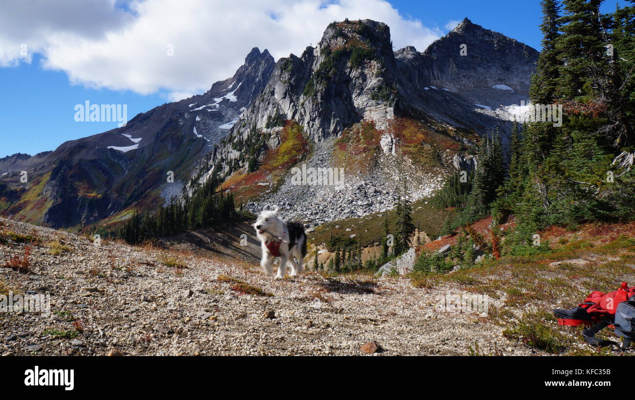 Exploring Washington State, The Great Pacific Northwest Stock Photo - Alamy