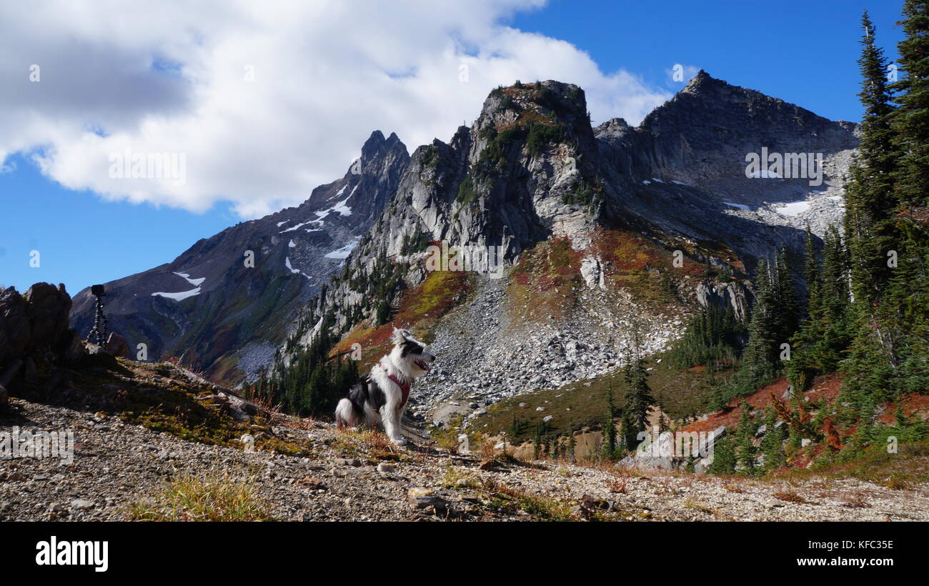 Exploring Washington State, The Great Pacific Northwest Stock Photo - Alamy