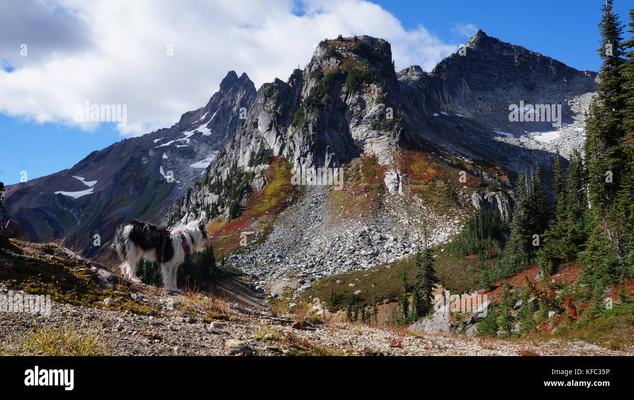 Exploring Washington State, The Great Pacific Northwest Stock Photo - Alamy