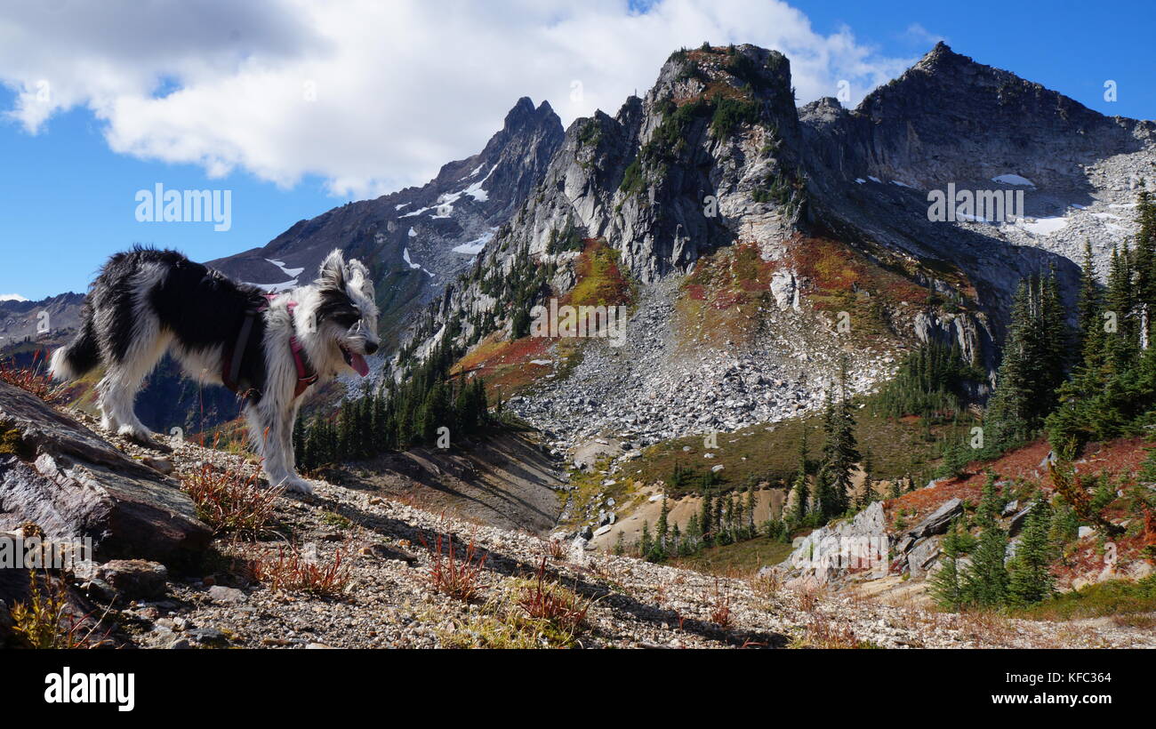 Exploring Washington State, The Great Pacific Northwest Stock Photo - Alamy