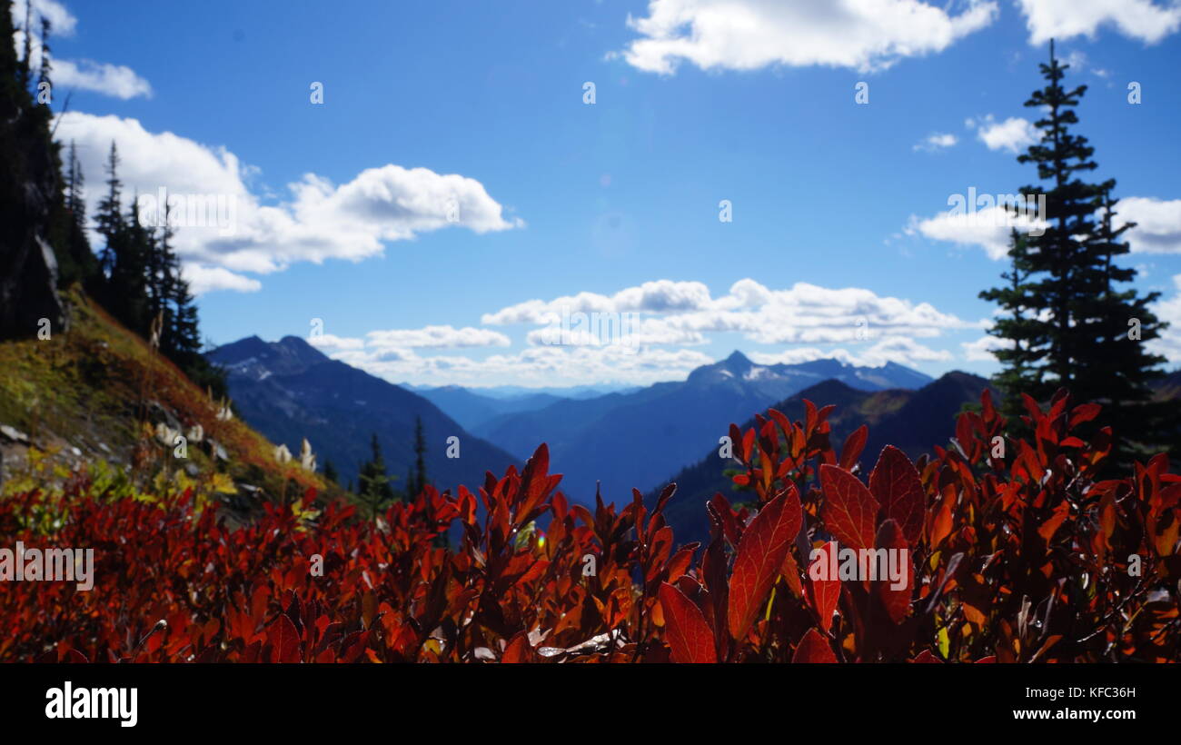 Exploring Washington State, The Great Pacific Northwest Stock Photo - Alamy