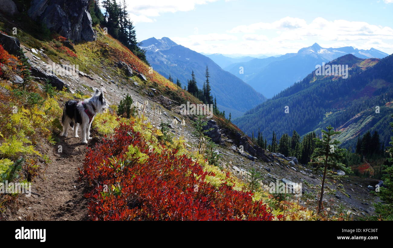 Exploring Washington State, The Great Pacific Northwest Stock Photo - Alamy