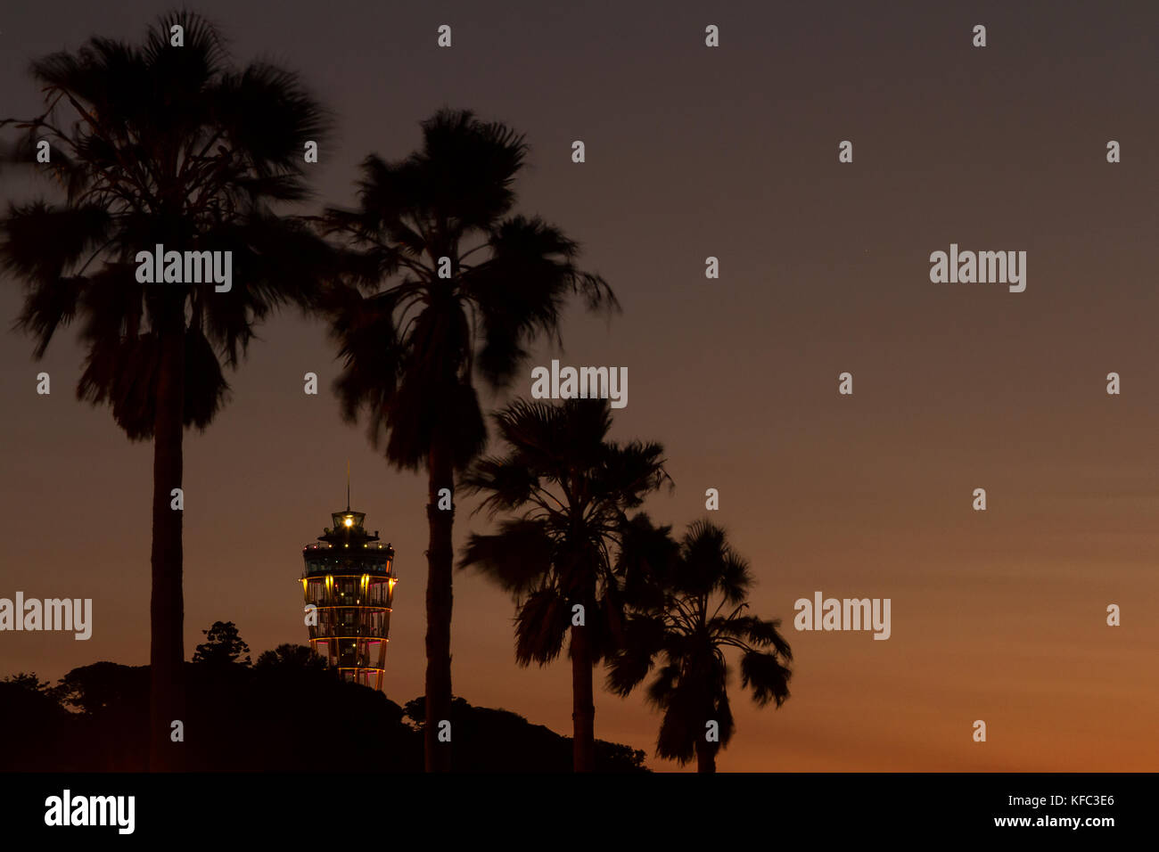 Enoshima Sea Candle lighthouse seen behind palm trees at sunset ...