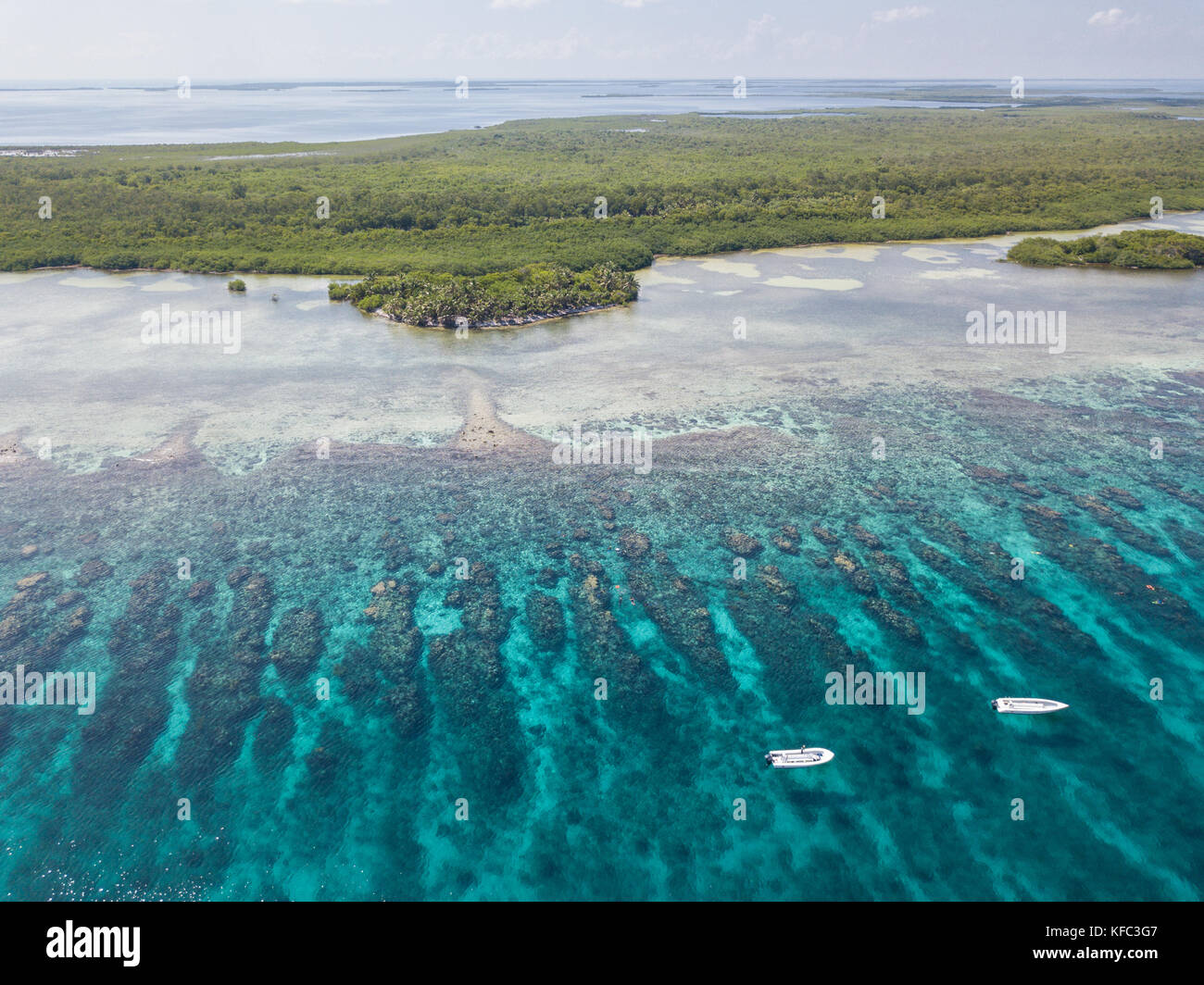Turneffe island resort belize hi-res stock photography and images - Alamy