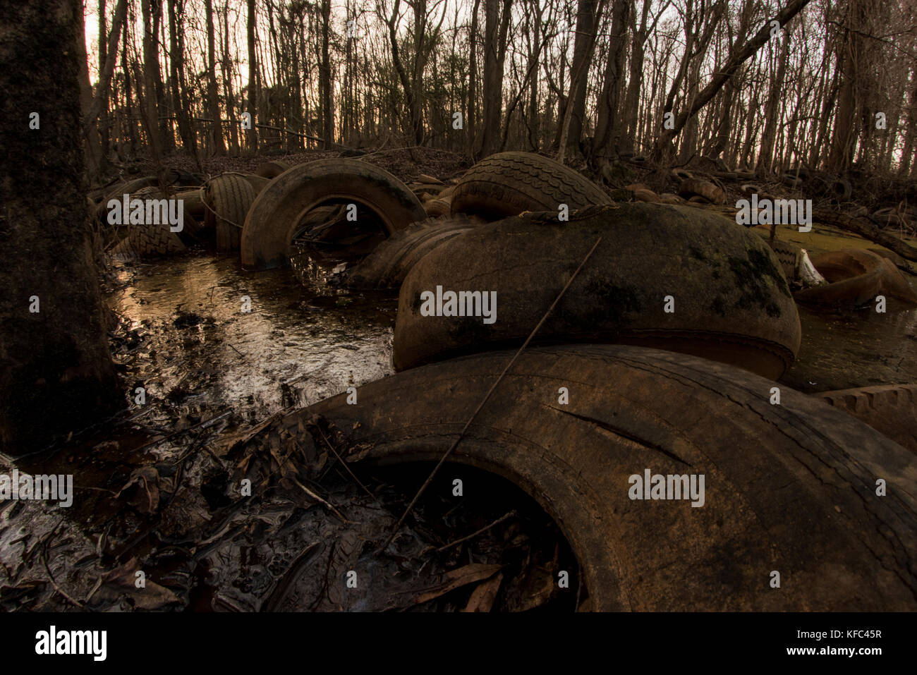 A polluted wetland in North Carolina that has been used as a illegal ...