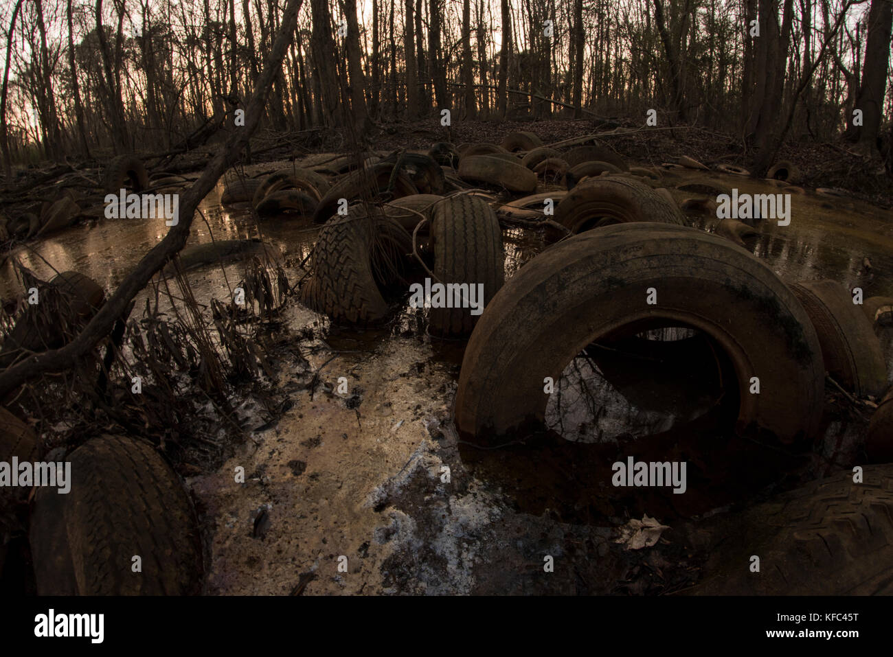 A polluted wetland in North Carolina that has been used as a illegal ...