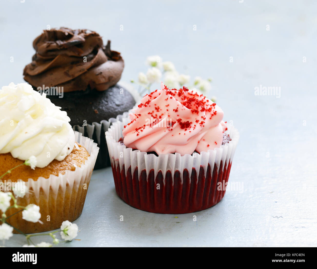 different capcakes with chocolate and vanilla cream dessert Stock Photo ...
