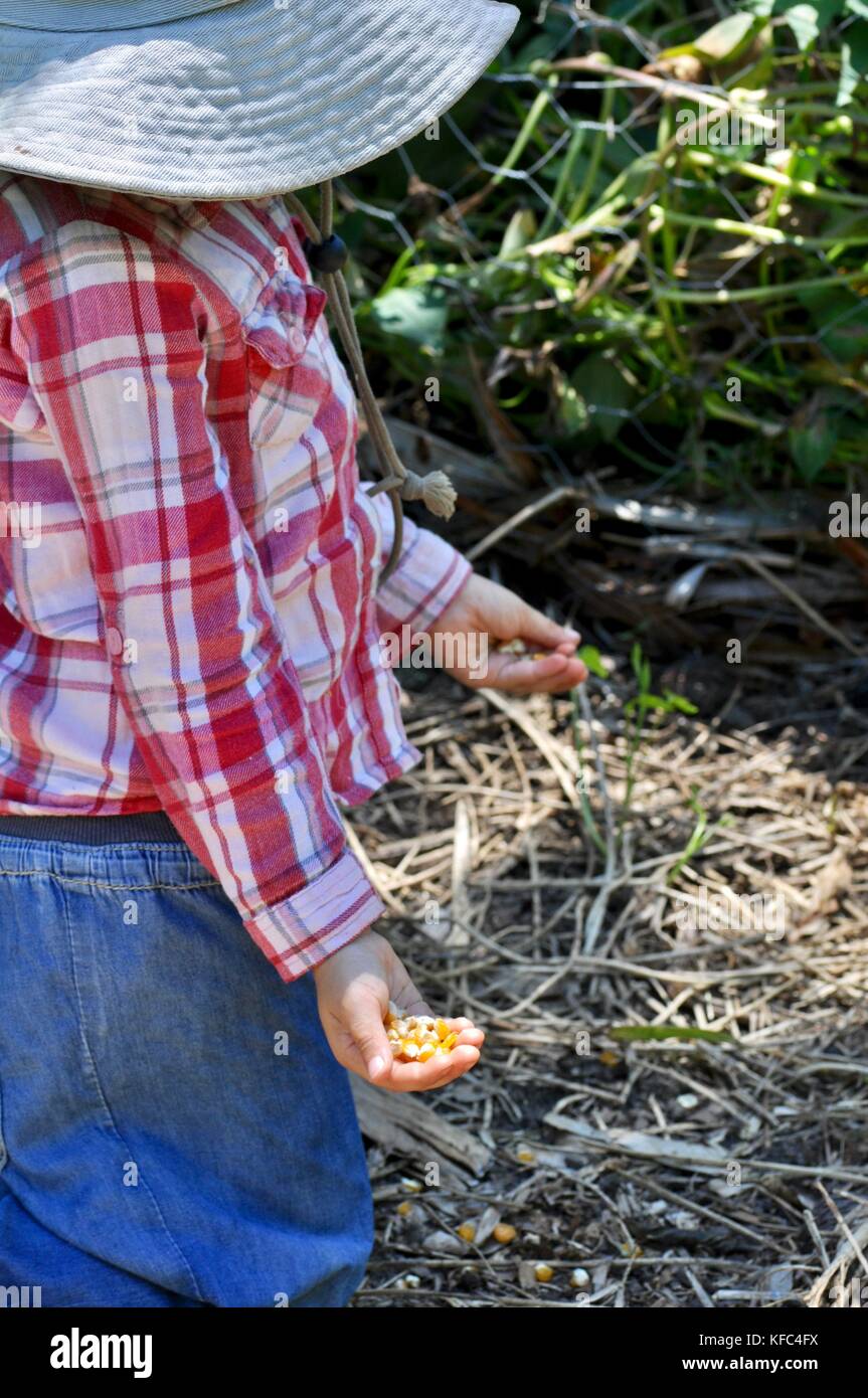 Child sow seeds garden hi-res stock photography and images - Alamy