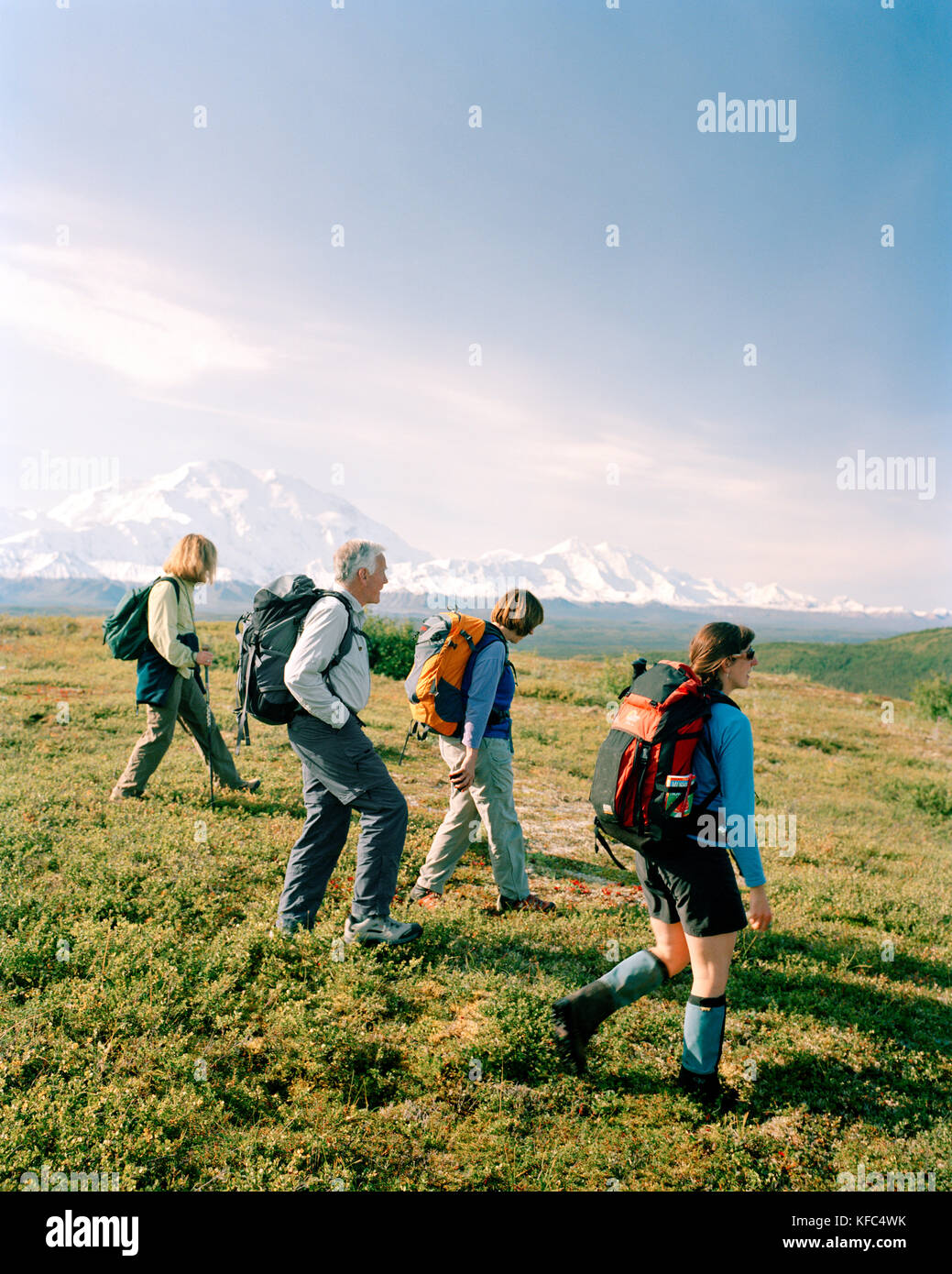 USA, Alaska, hikers in Denali National Park with mount McKinley in ...