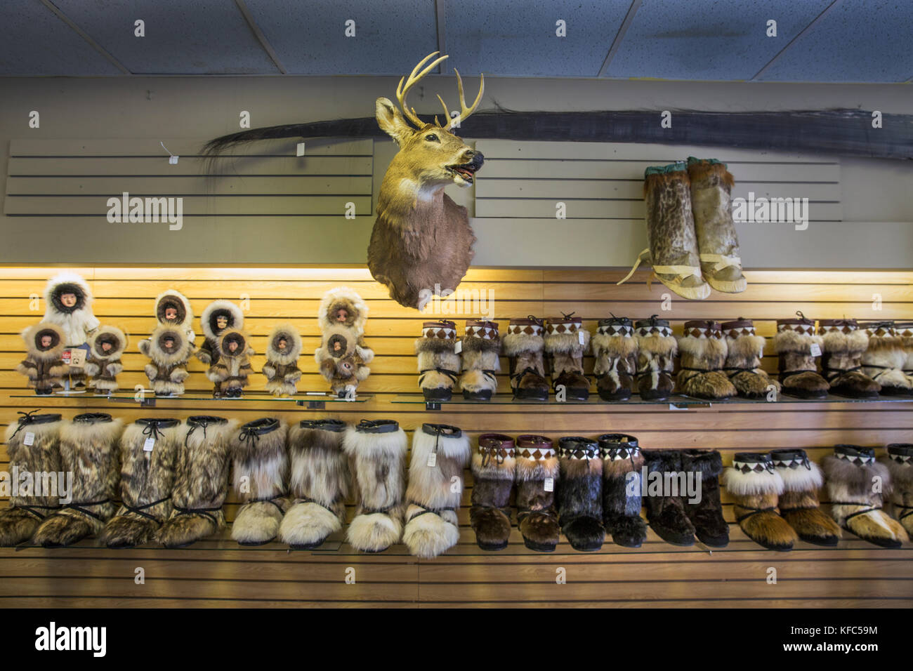 USA, Alaska, Anchorage, the Anchorage Fur Factory offers a variety of ...