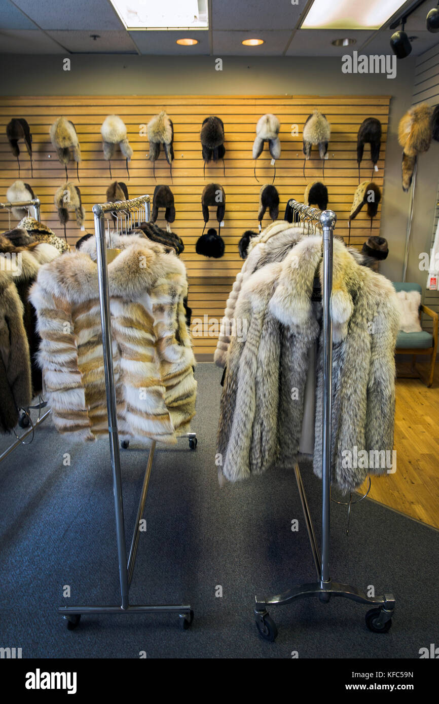 USA, Alaska, Anchorage, the Anchorage Fur Factory offers a variety of ...