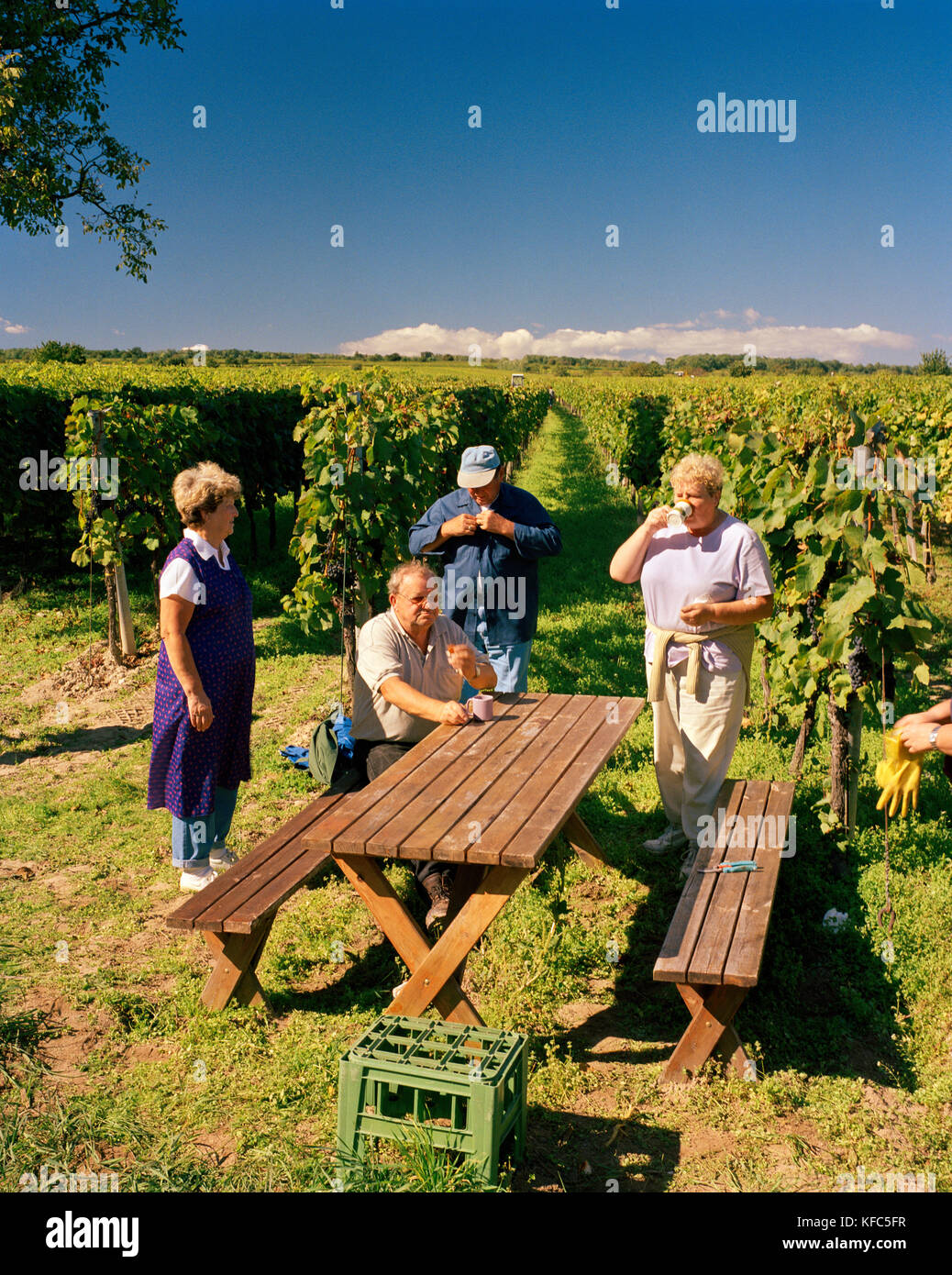 AUSTRIA, Morbisch, Reinprecht family enjoys a picnic at their Schindler ...