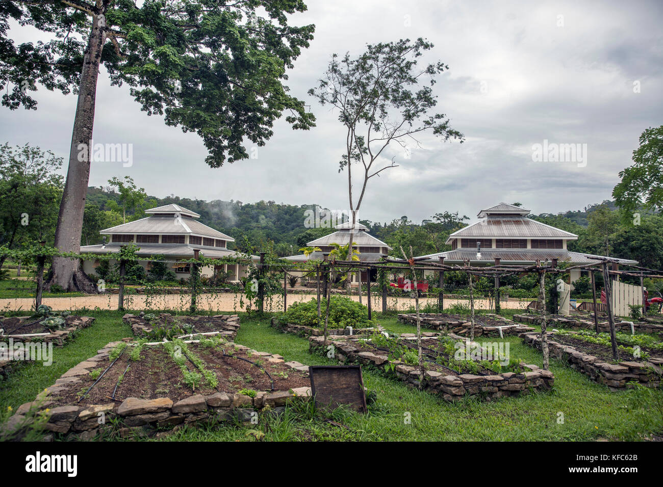 BELIZE, Punta Gorda, Toledo, Belcampo Belize Lodge and Jungle Farm ...