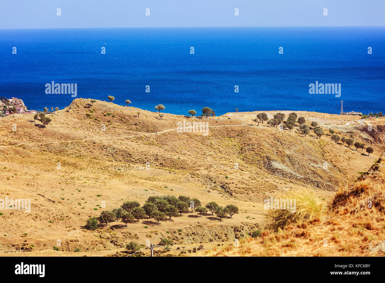 Typical dry terrain in Calabria against deep blue sea. Focus on a group ...