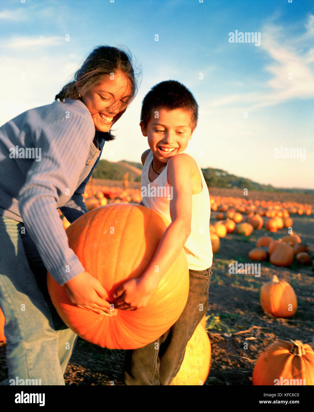 USA, California, girl and boy carrying a pumpkin at Bob's Pumpkin Patch ...