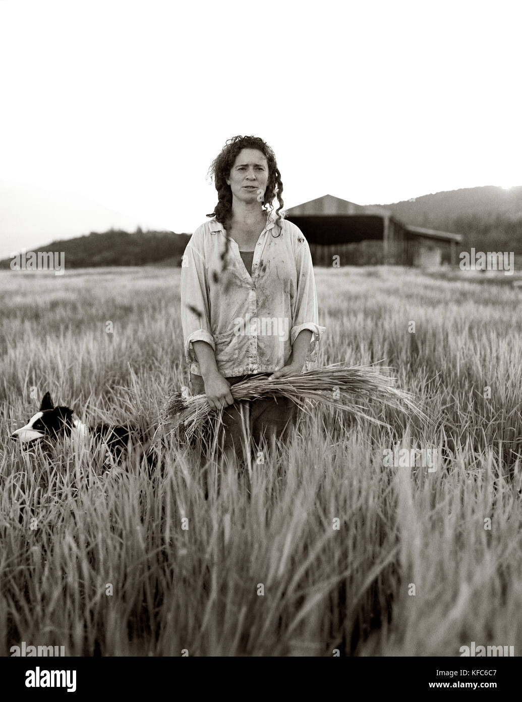 Person standing field field hi-res stock photography and images - Alamy