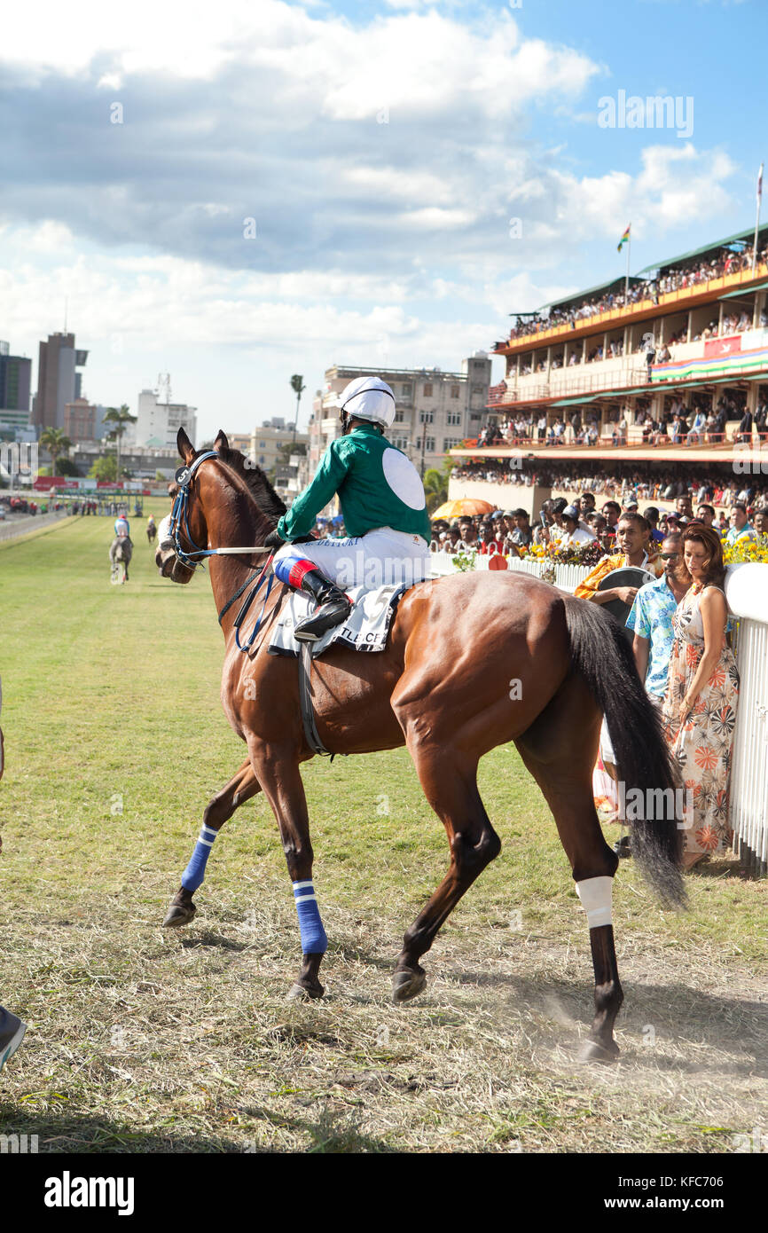 Mauritius horse riding hi-res stock photography and images - Alamy
