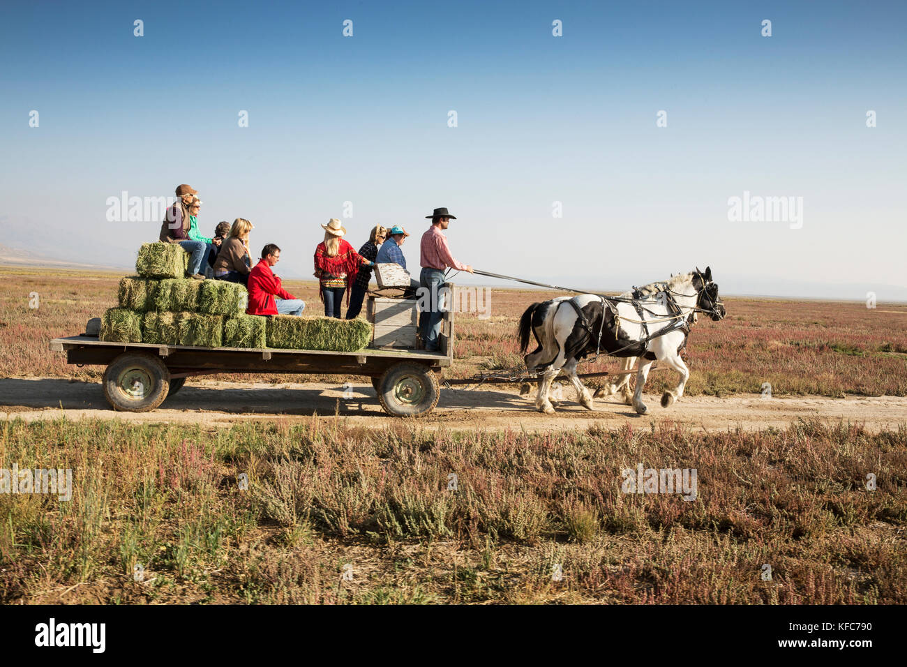 USA, Nevada, Wells, guests can participate in Horse-Drawn Wagon Rides ...