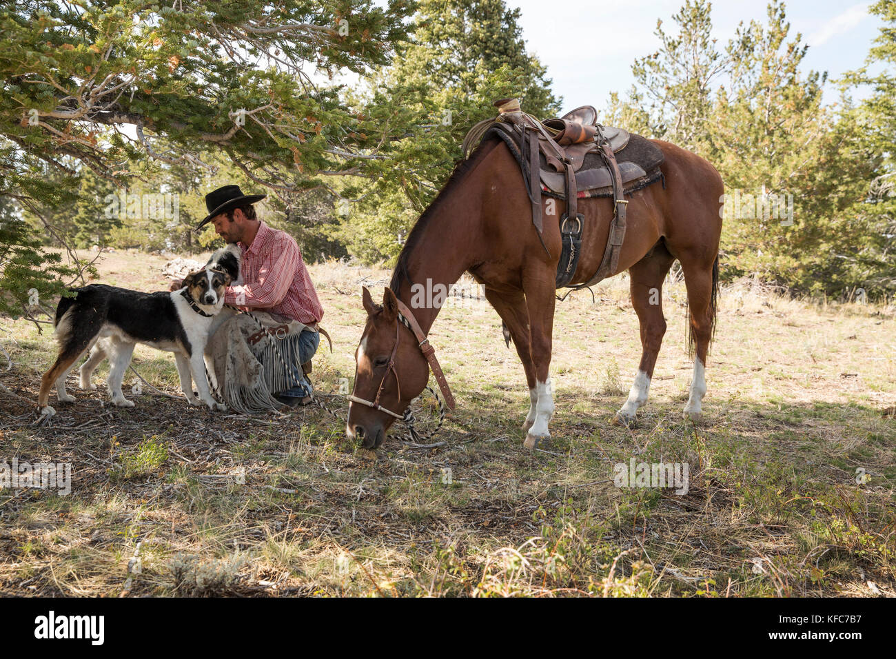 Dog cowboy horse ride hi-res stock photography and images - Alamy