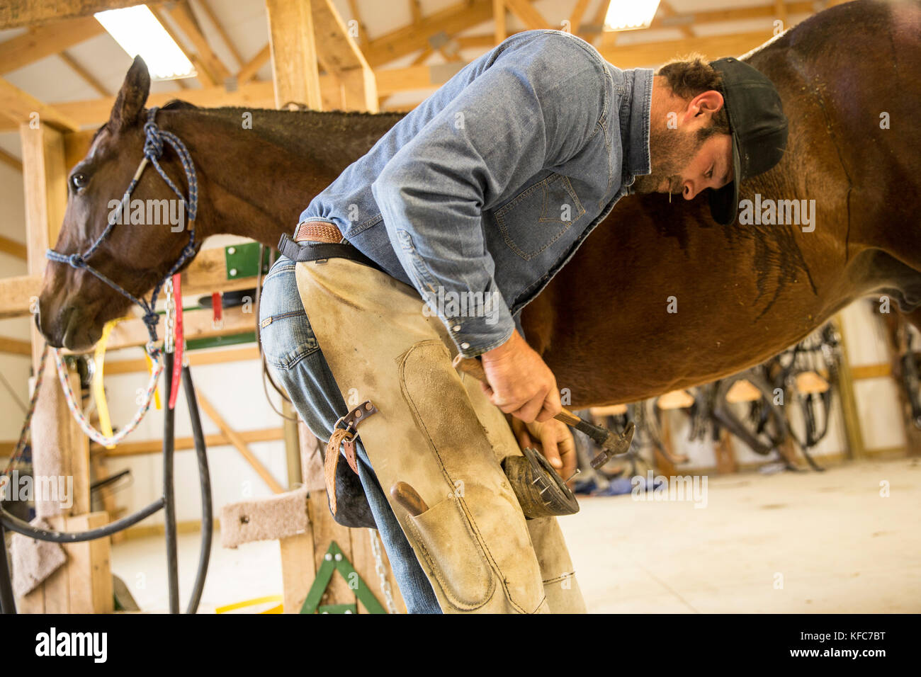 USA, Nevada, Wells, cowboy and wrangler Clay Nannini gives the horses ...