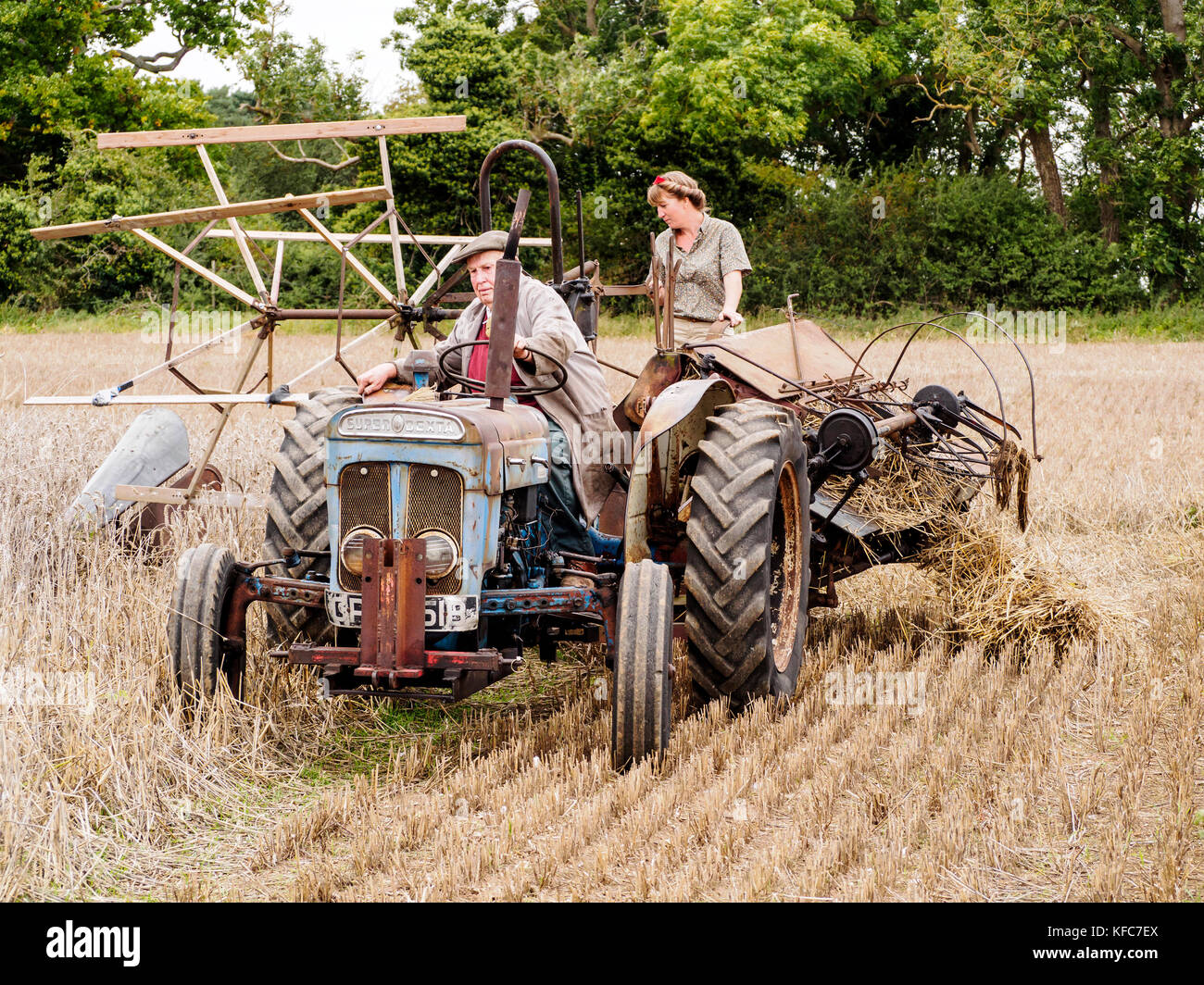 A re-enactment of the end of harvest on a Norfolk farm in the 1940s and ...