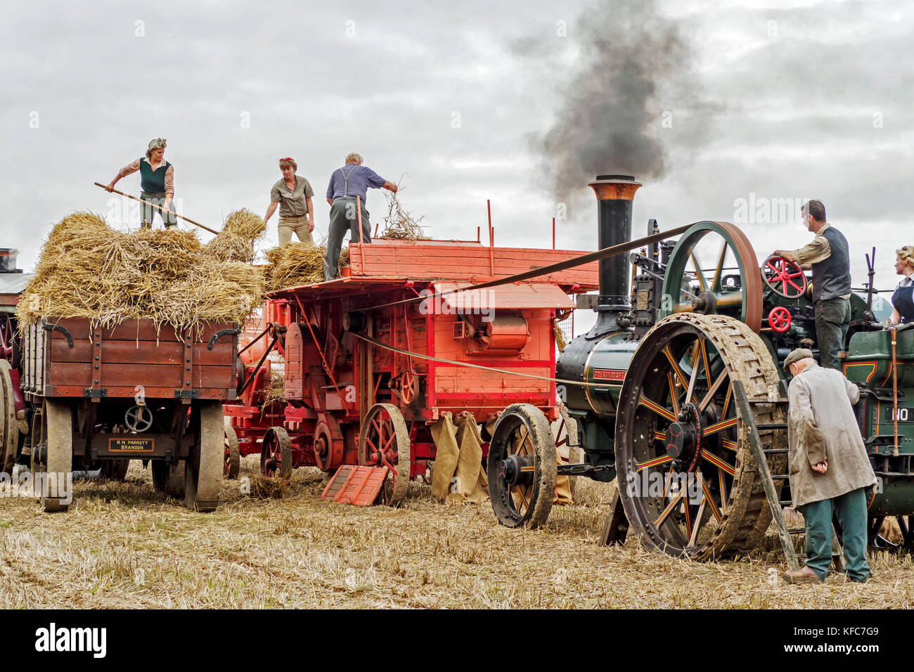 A re-enactment of the end of harvest on a Norfolk farm in the 1940s and ...